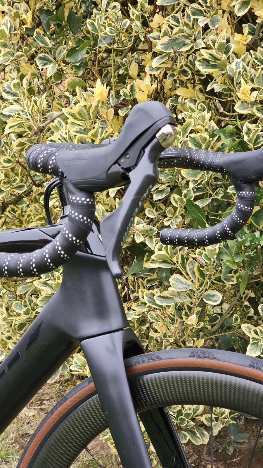 Trek Domane SL6 2021