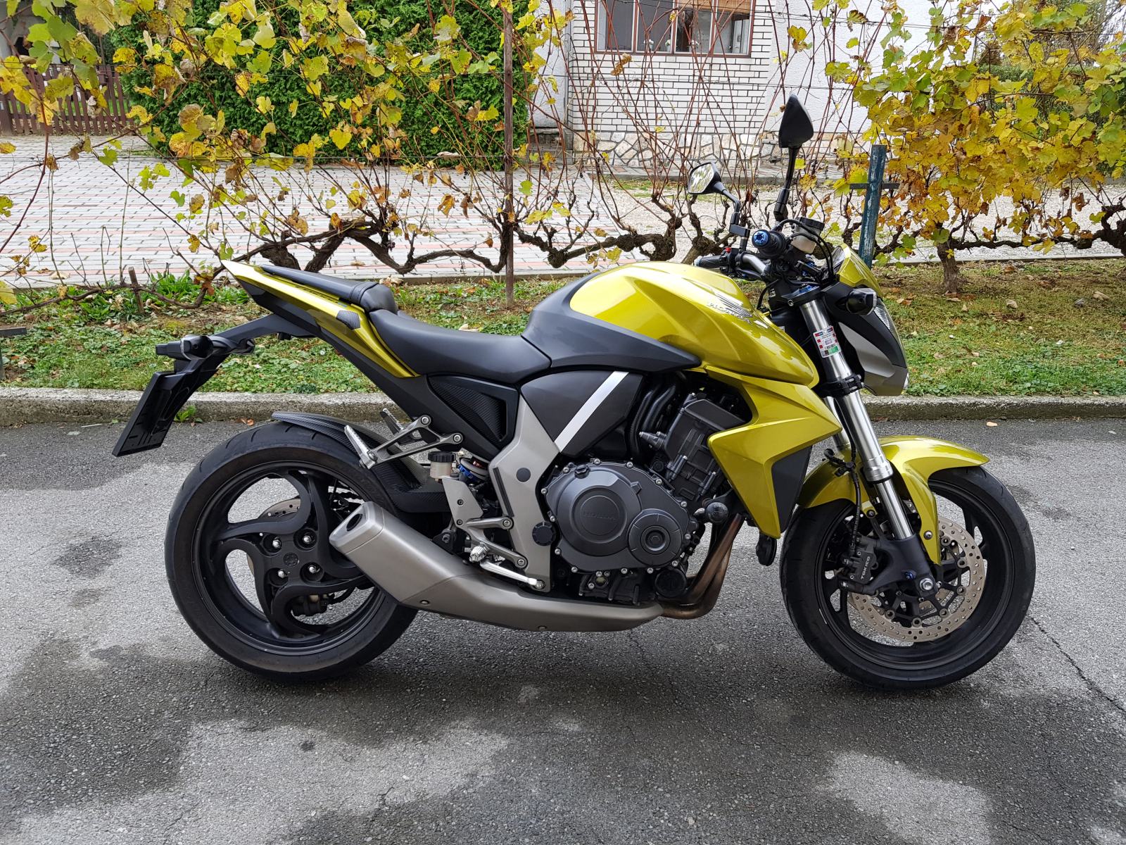 Honda CB1000R 2009.g., 2009 god.