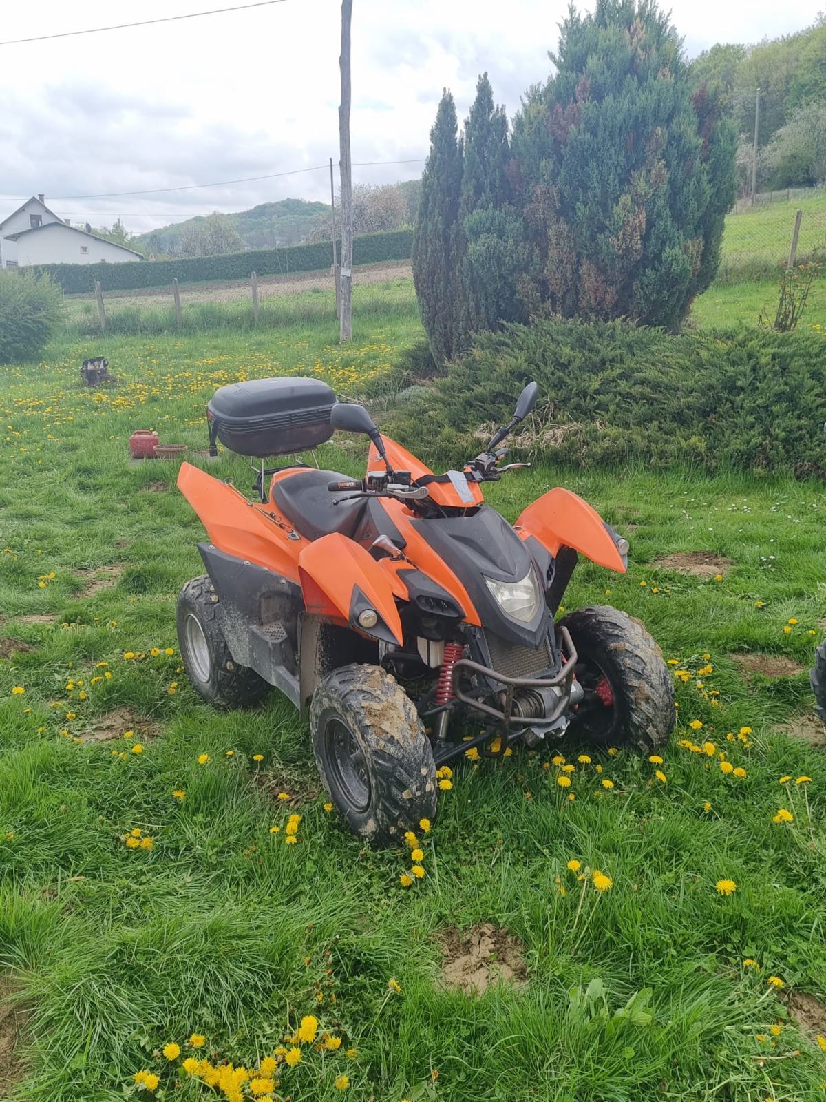 ADLY 300 cm3, 2008 god.