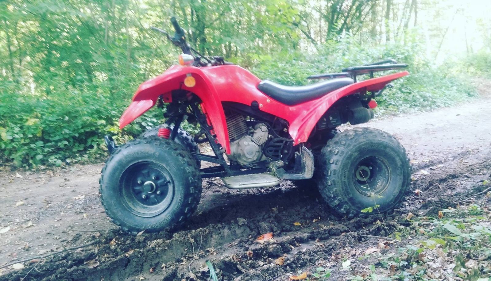 ADLY 300 300 cm3, 2005 god.