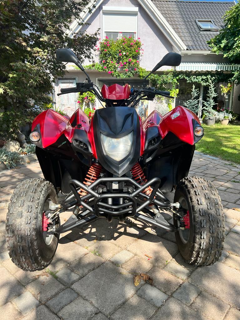 ADLY 300 XS, 2010 god.