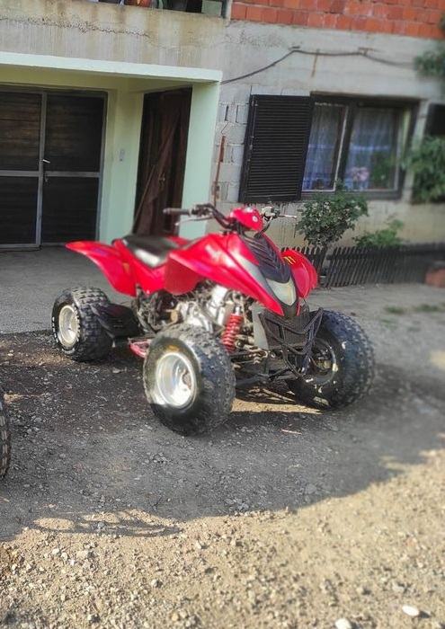 DINLI 300 za registraciju DOSTAVA, 2006 god.