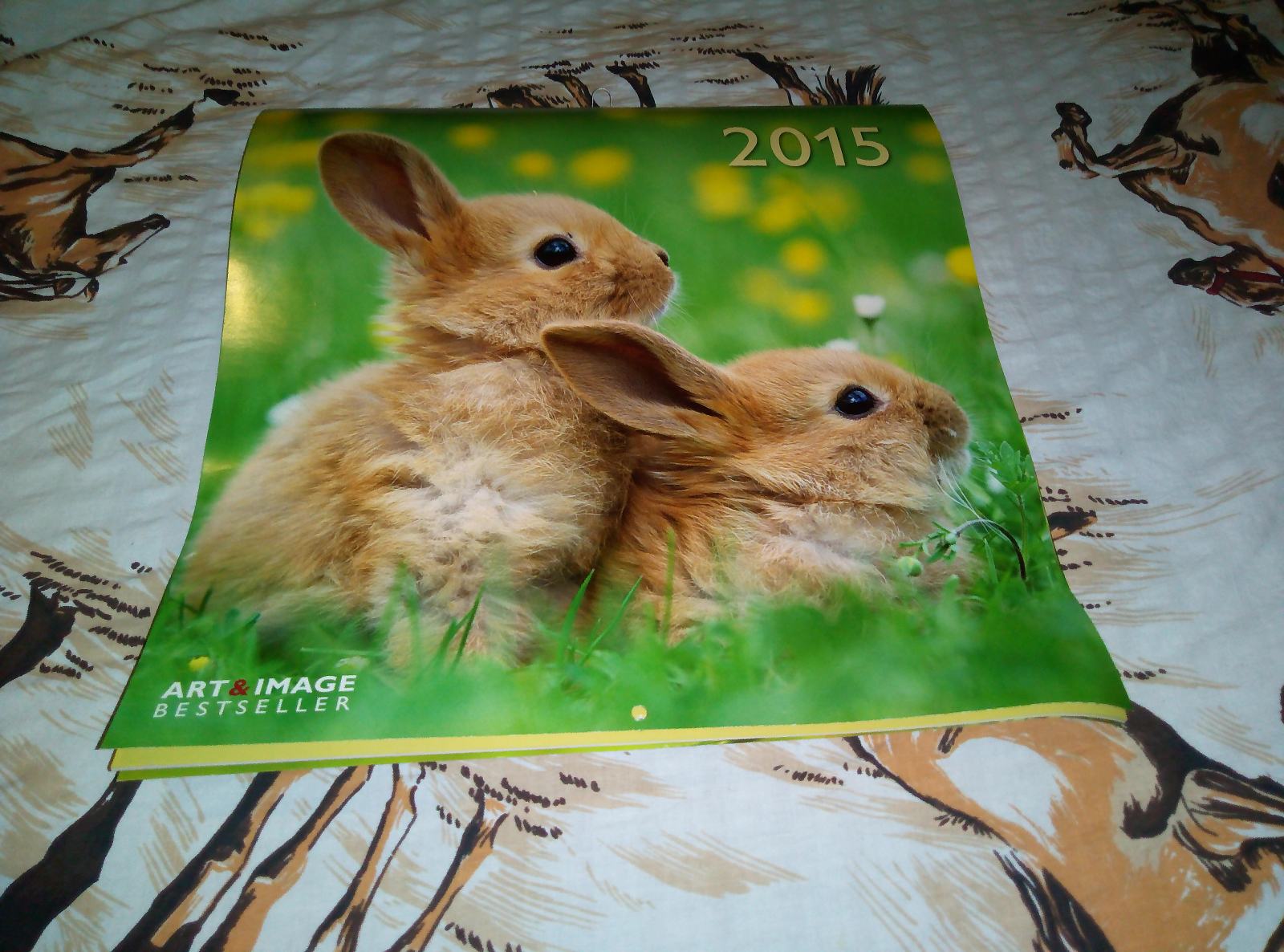 Kalendar Zeke 2015. godina