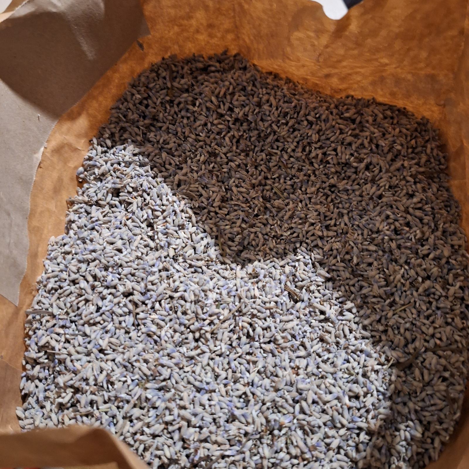 Osušeni cvijet lavande,protiv moljaca za ormare.