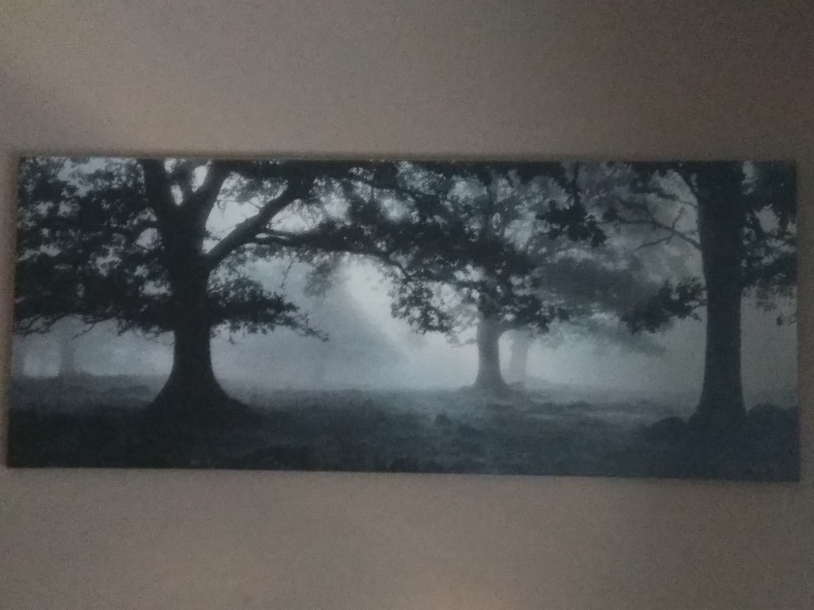 velika slika 140x57 90kn!!