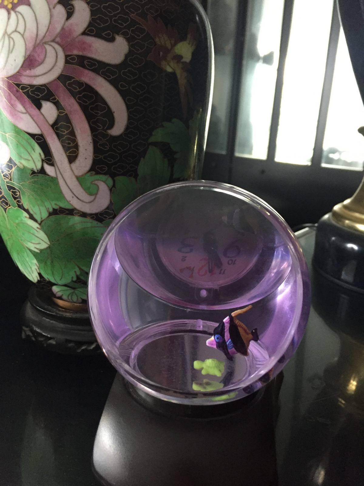 Ukrasni efektni akvarij sat