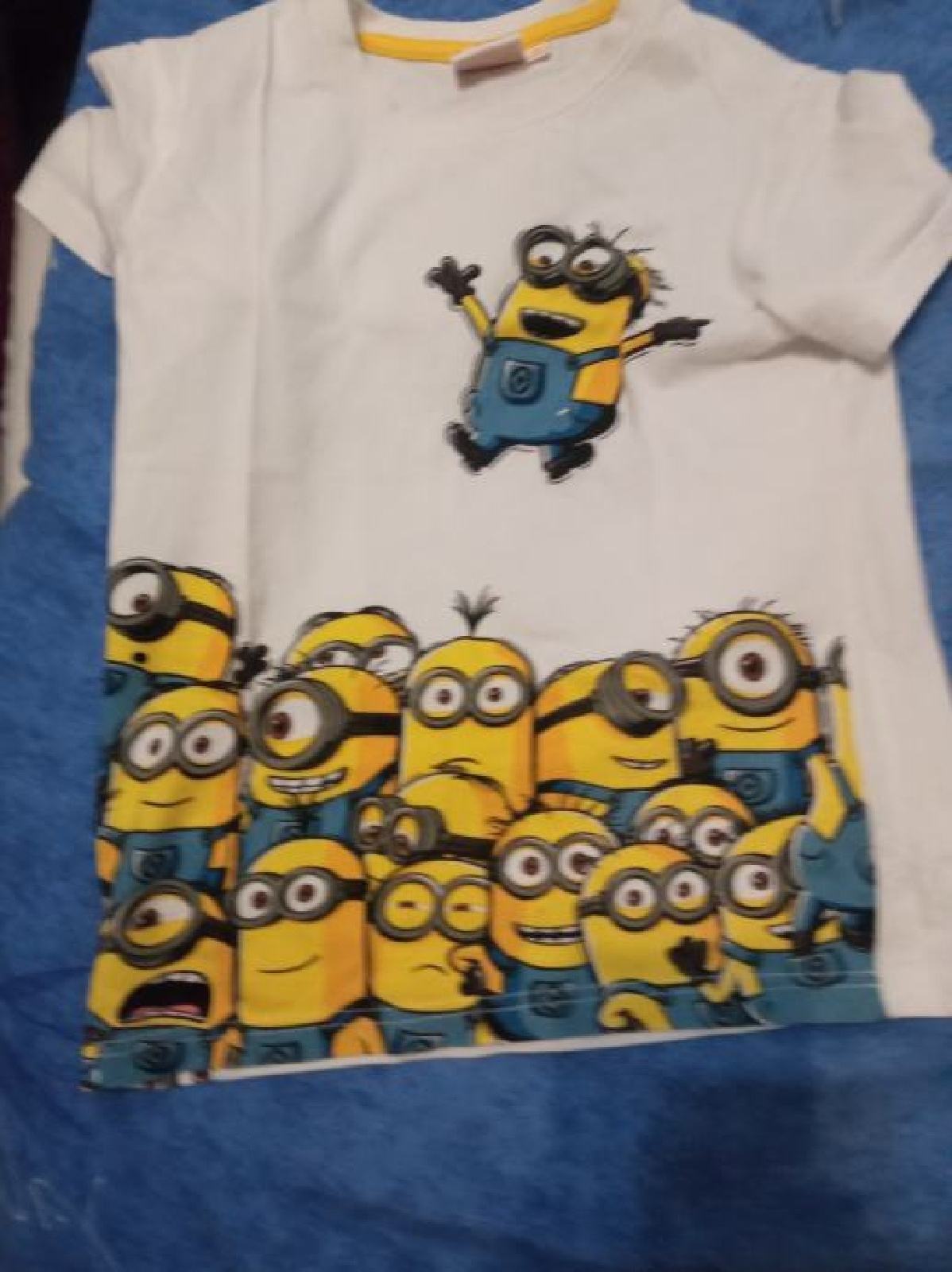 Minions (malci)