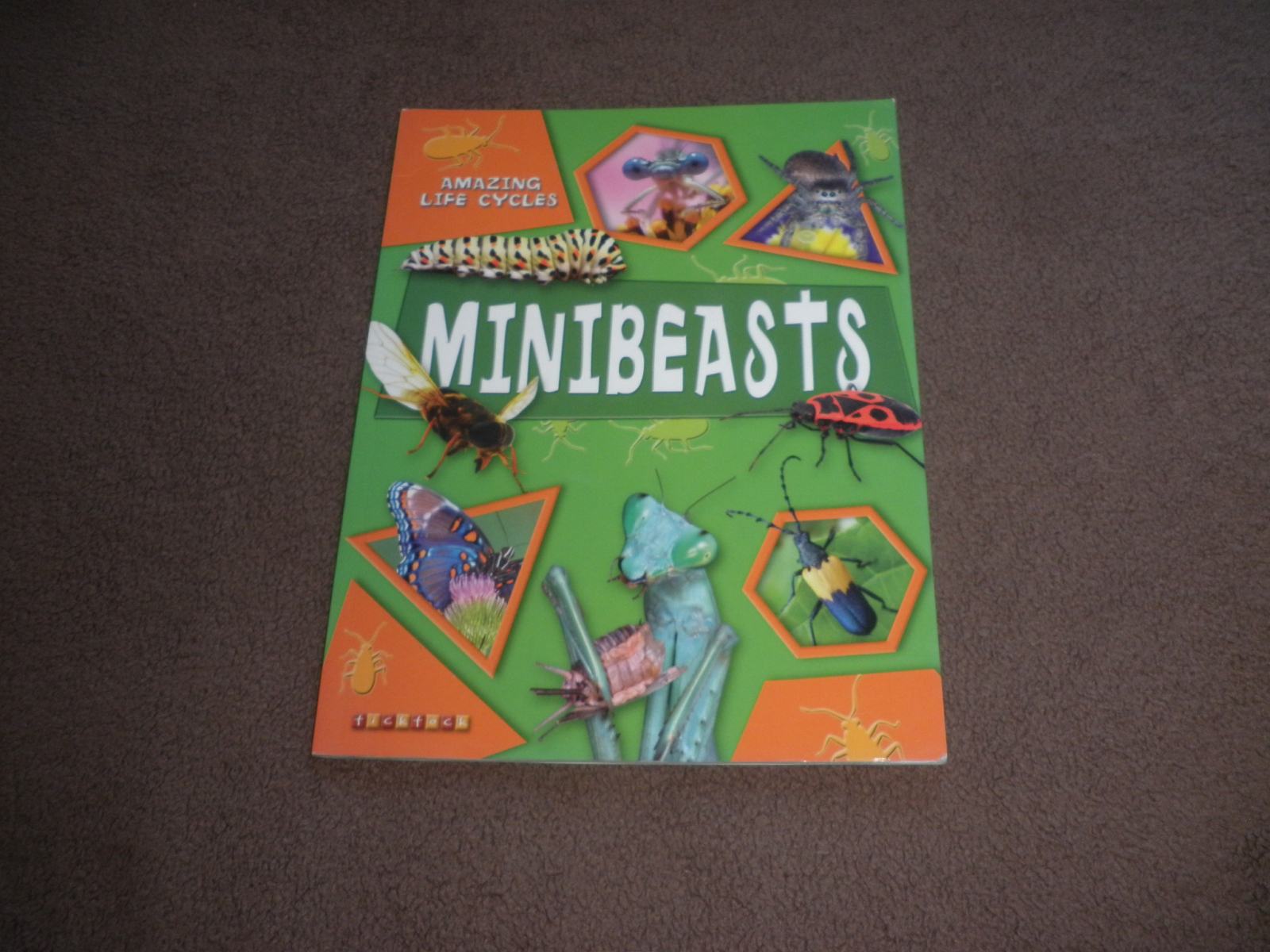 AMAZING LIFE CYCLES - MINIBEASTS