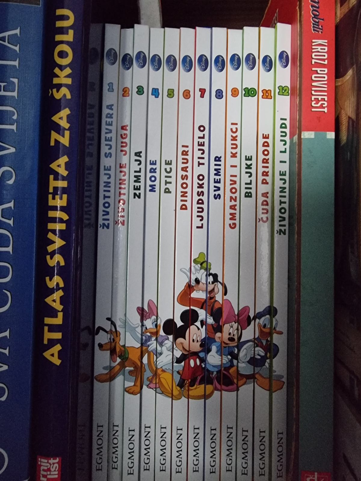 Disney kolekcija knjiga