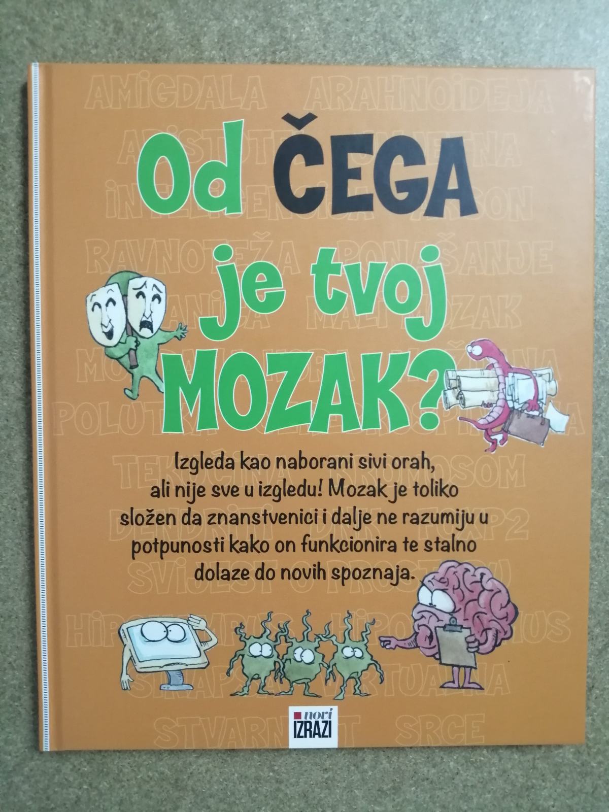 Garry Bailey – Od čega je tvoj mozak? (A8)