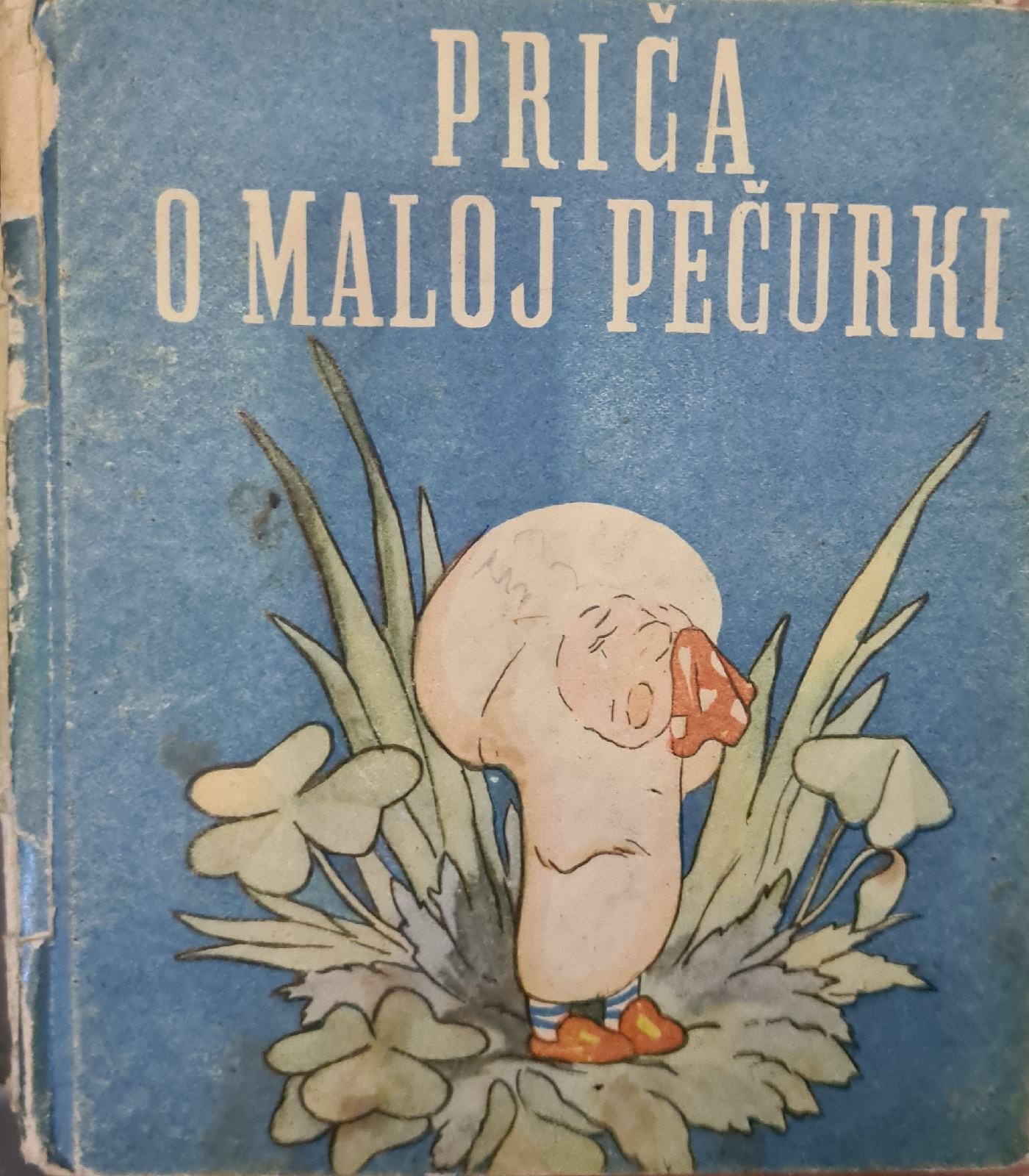 PRIČA O MALOJ PEČURKI