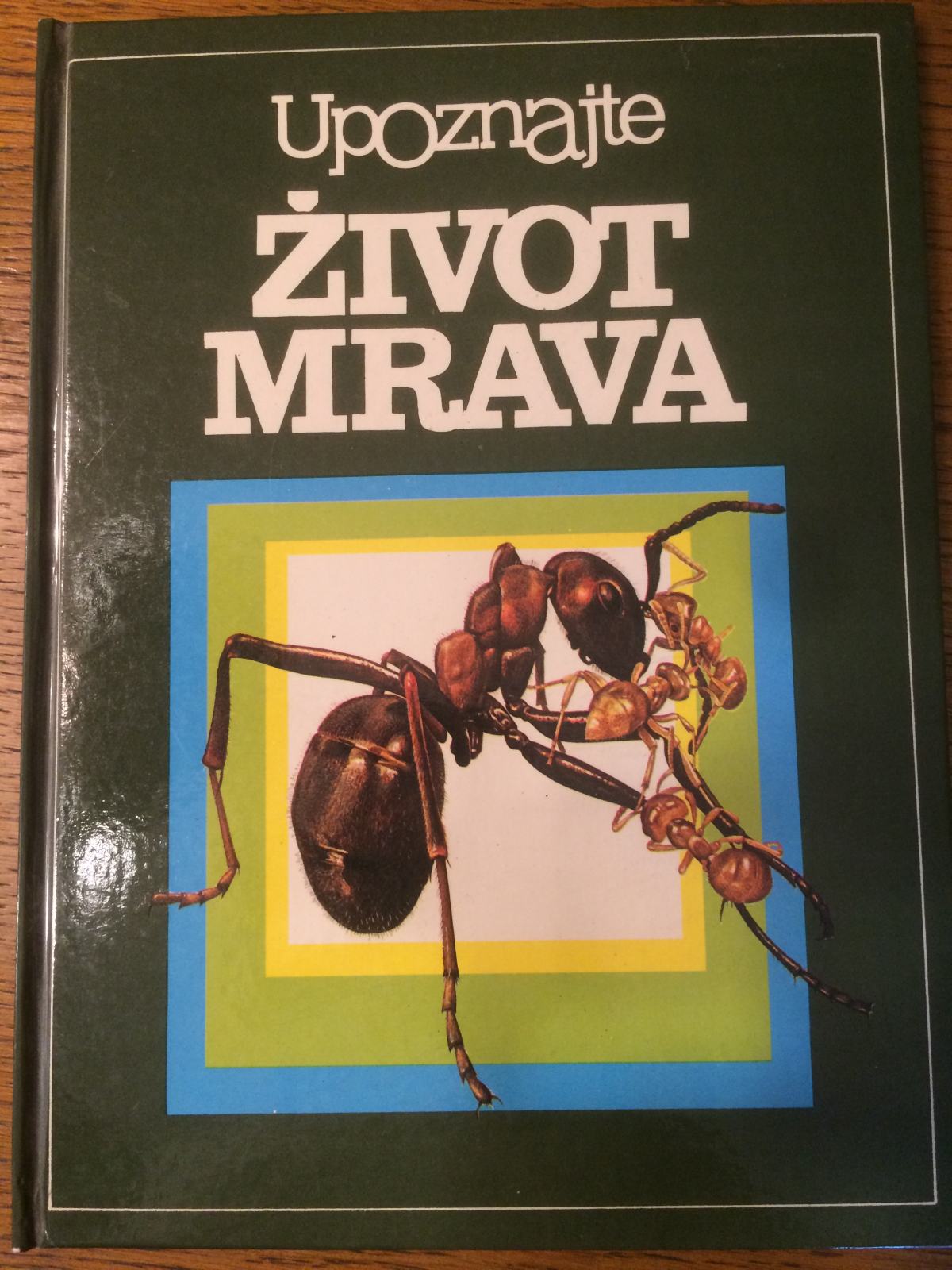 Valeri Pit i Dejvid Kuk: Upoznajte život mrava