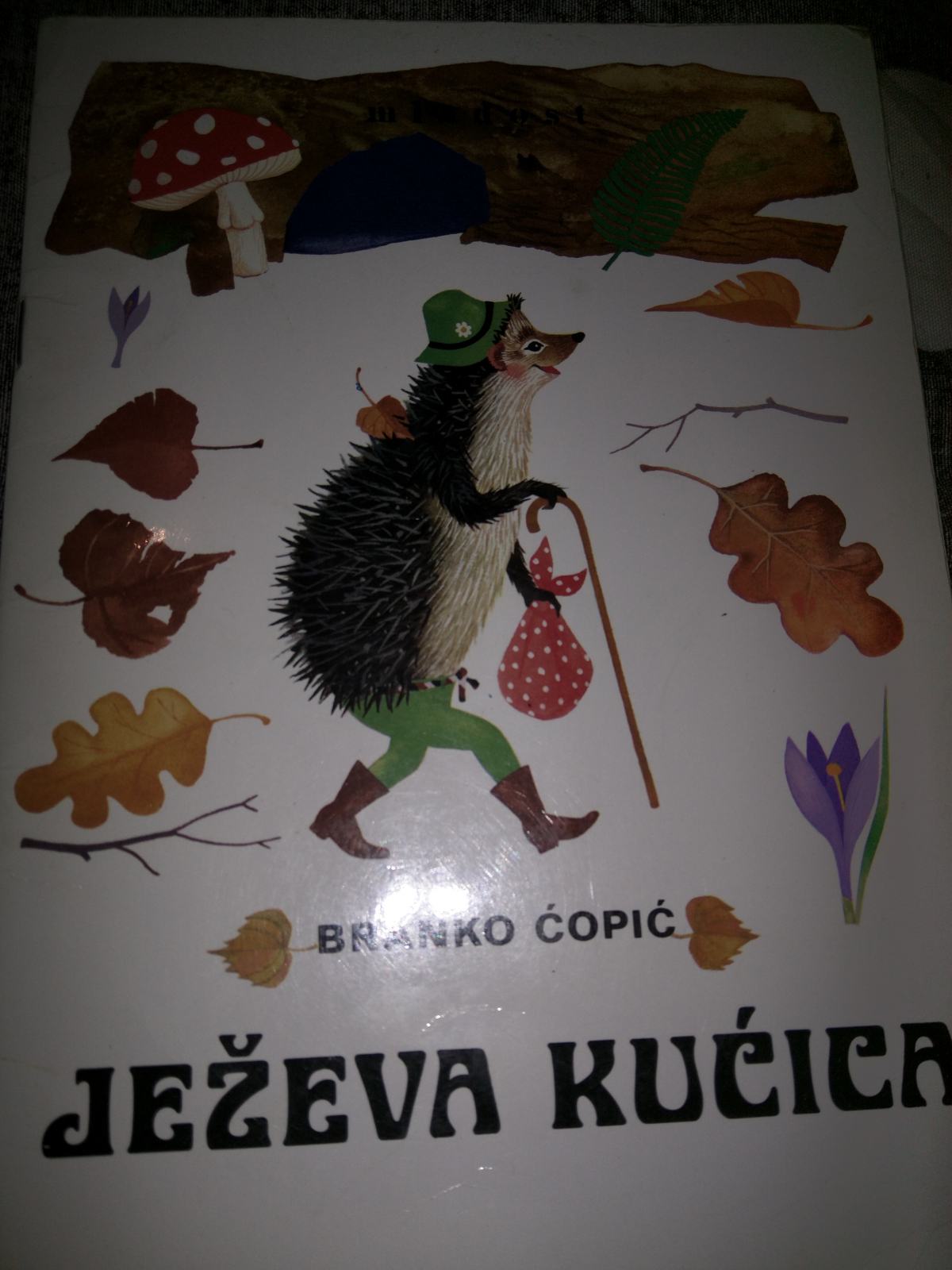 DJEČJE KNJIGE - RAZNE