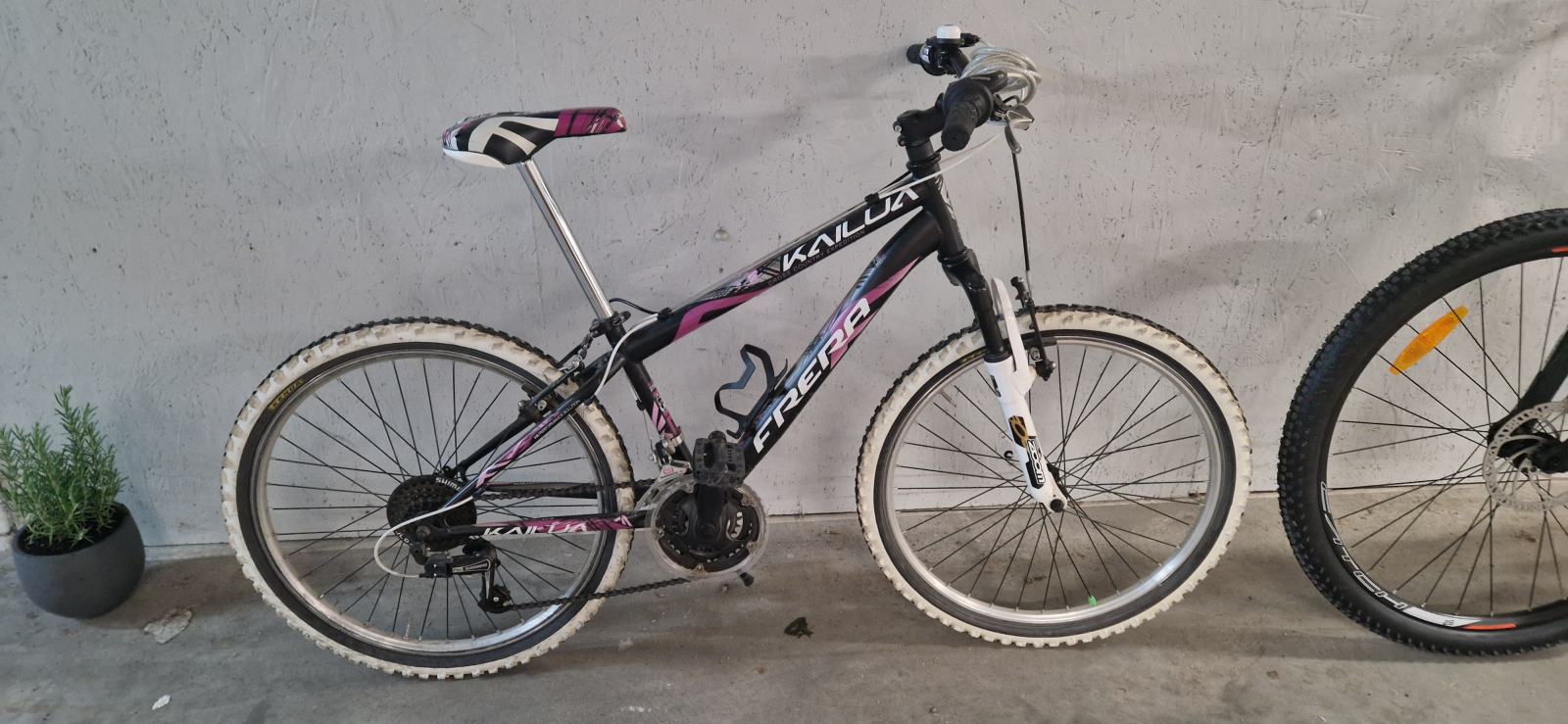 Bicikl Frera Kailua 24