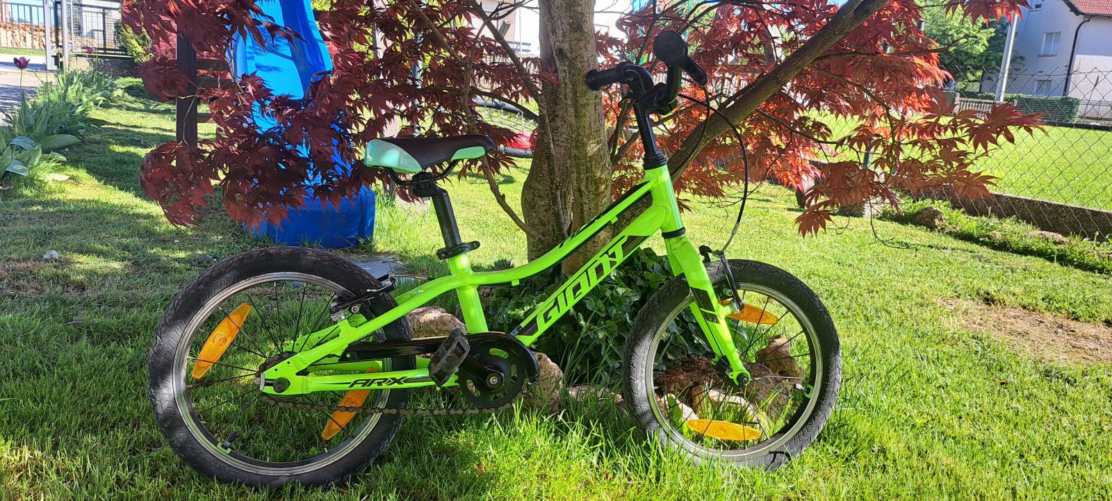 Giant 16
