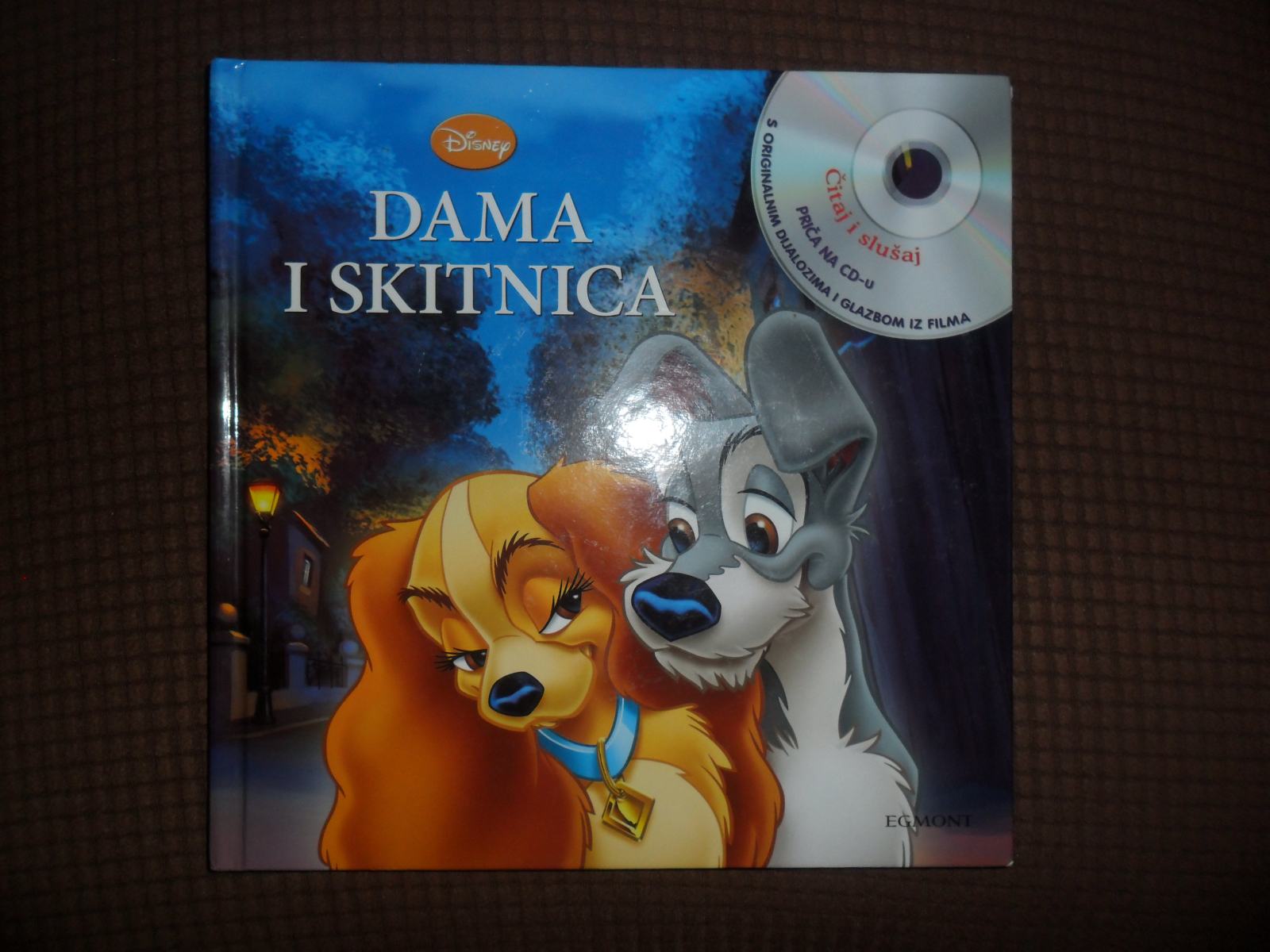 Knjiga Dama i skitnica