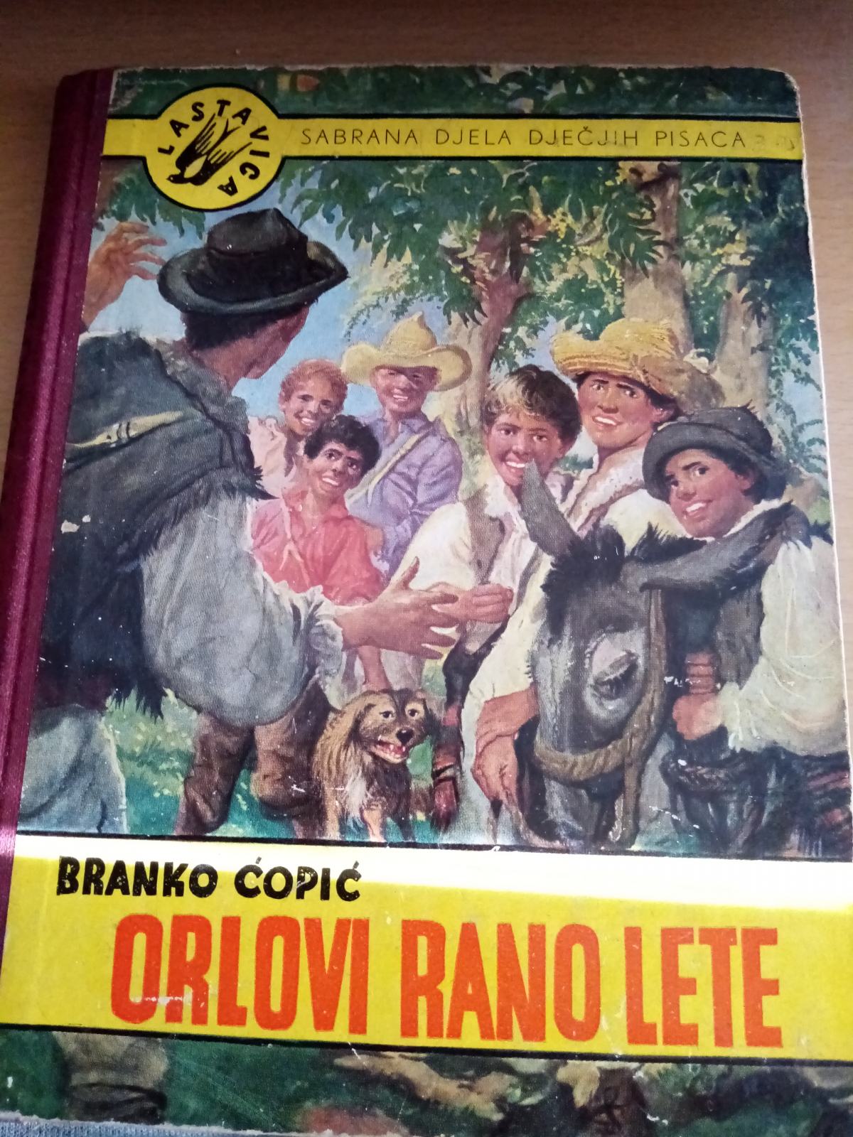 ORLOVI RANO LETE, B. COPIC