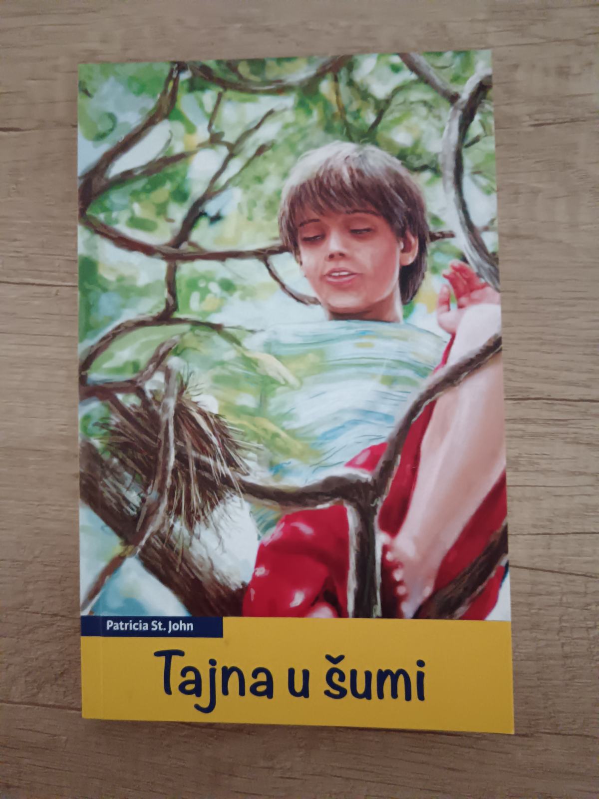PATRICIA ST. JOHN, Tajna u šumi