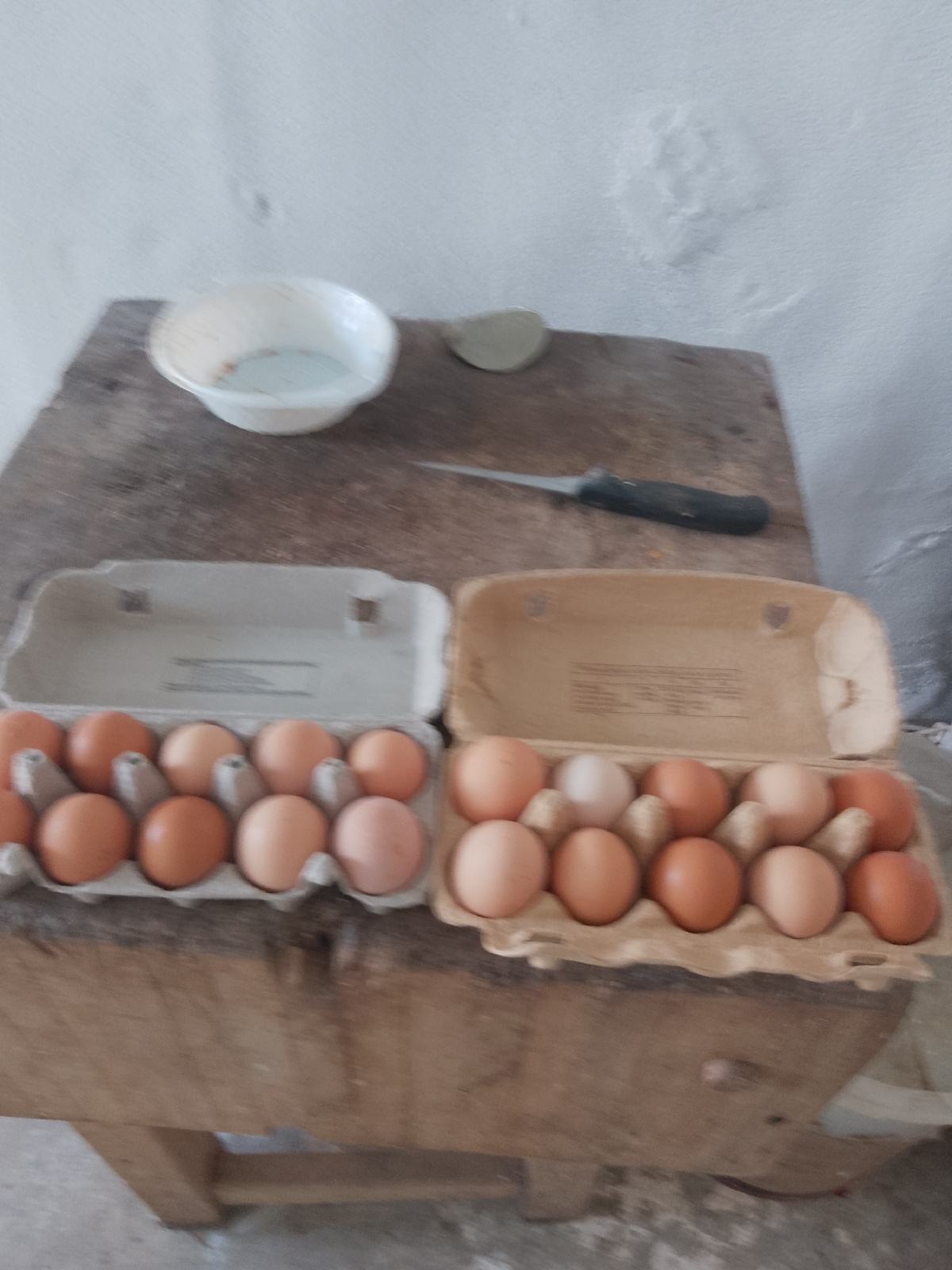 domaća jaja