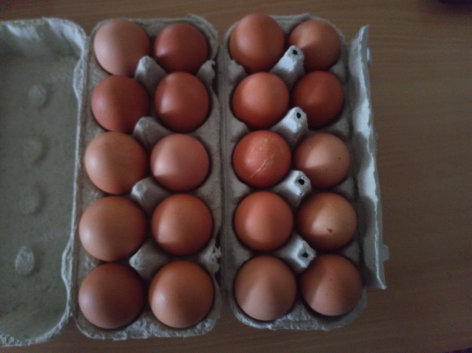 Domaća svježa kokošja jaja