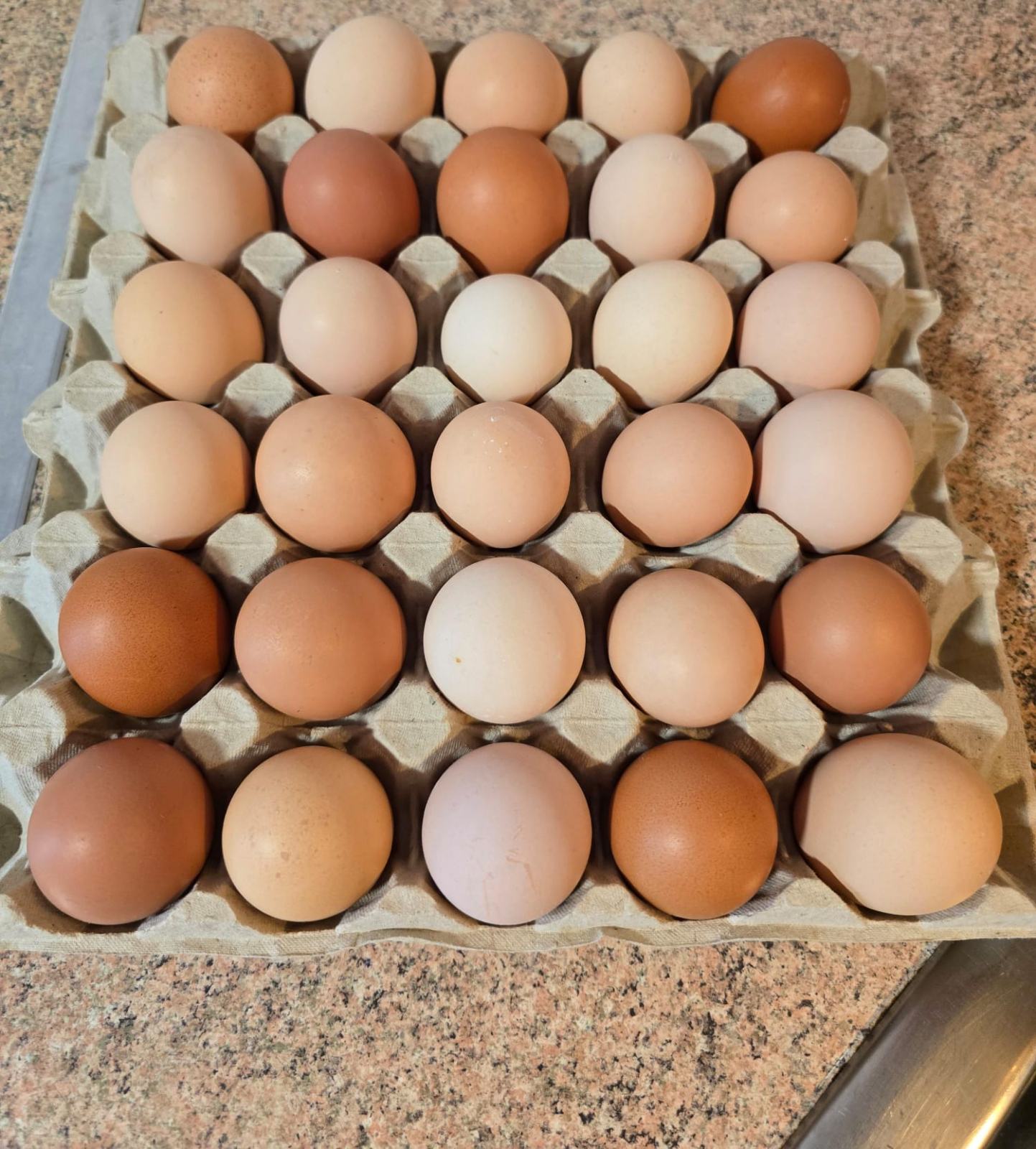SVJEŽA DOMAĆA JAJA
