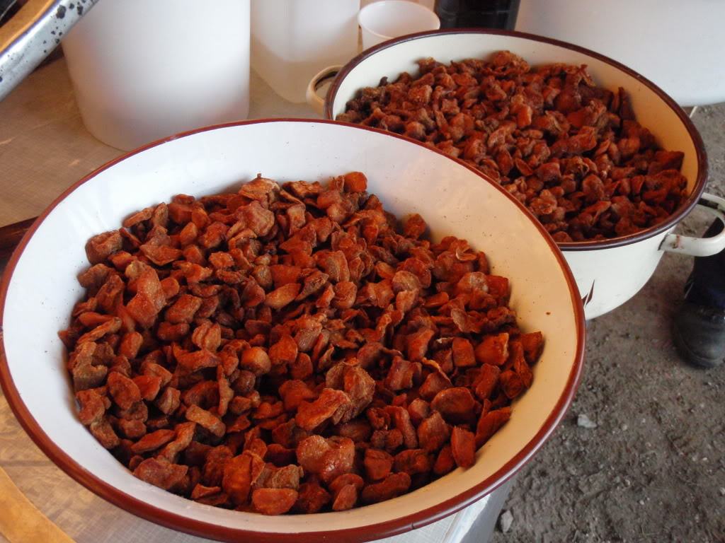 čvarci