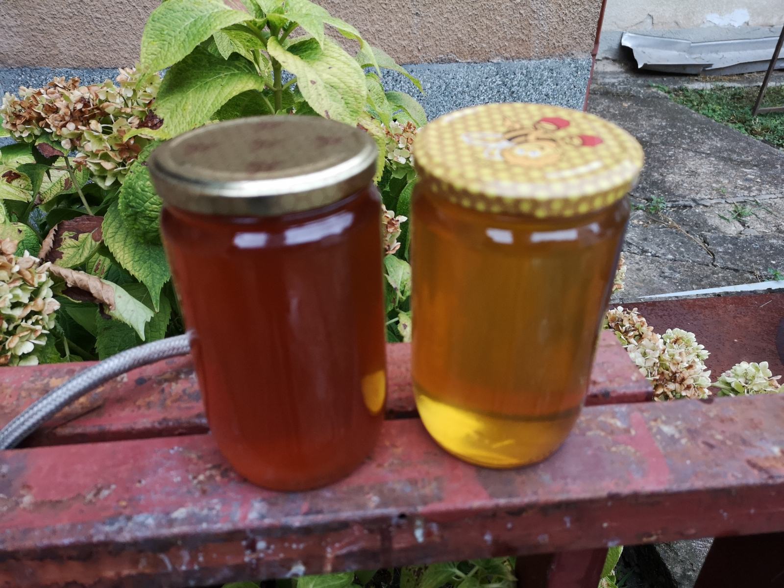 Med - bagrem i livada