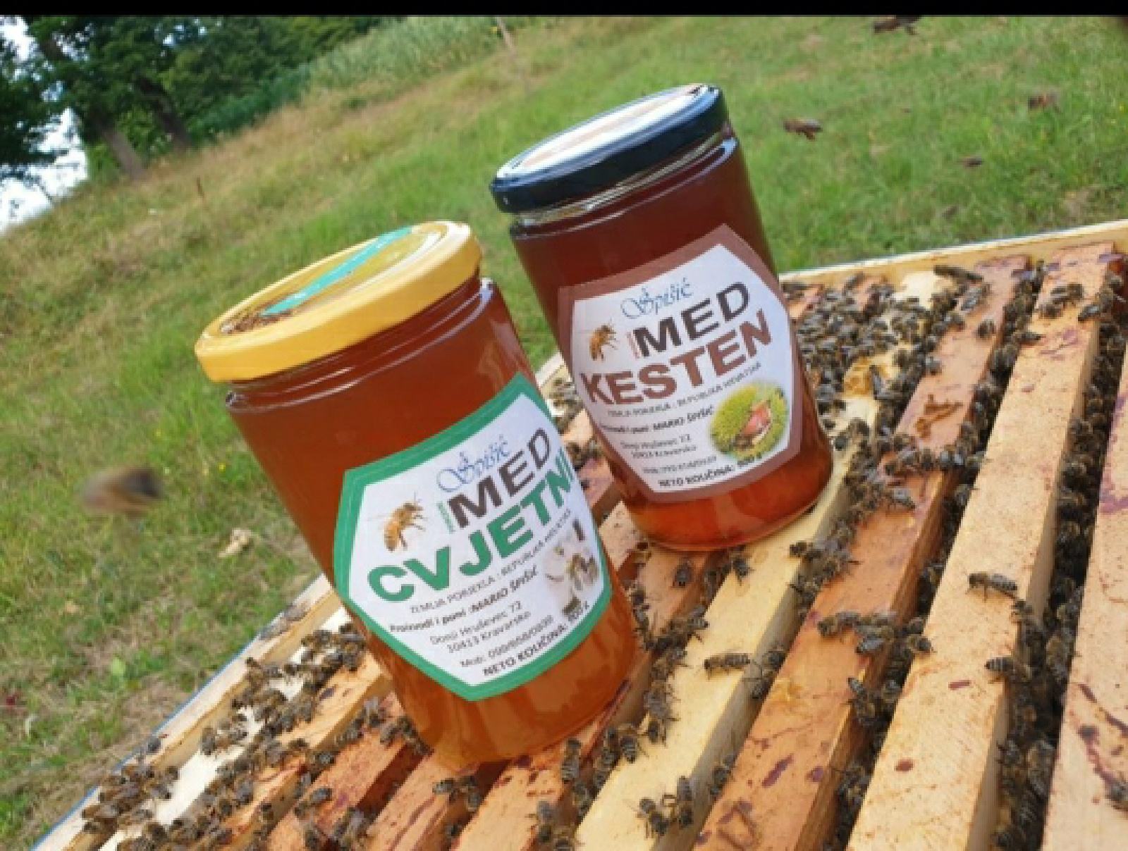 Pravi prirodni domaći MED