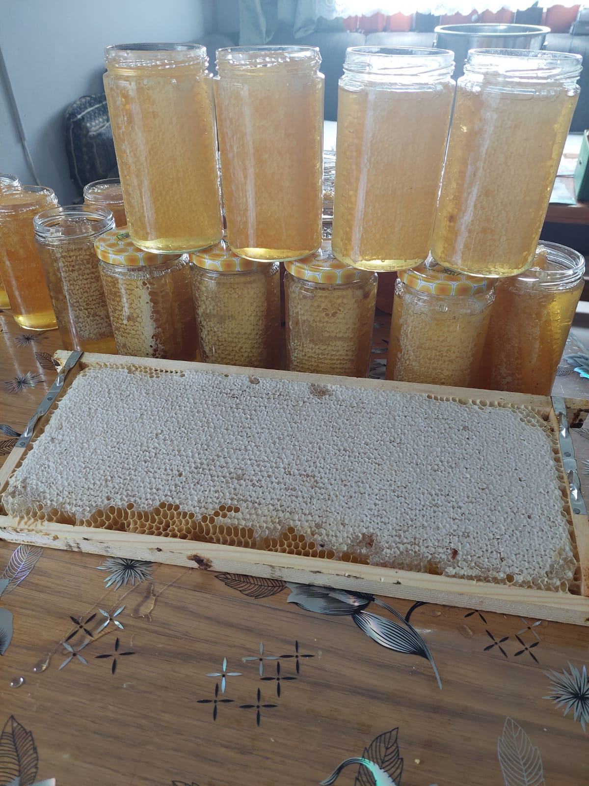 PRODAJEM VEĆE KOLIČINE MEDA U SAĆU