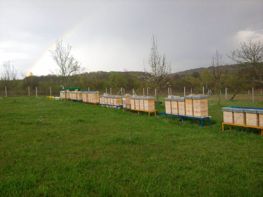 RV Rodna Voja kosnice sa pcelama