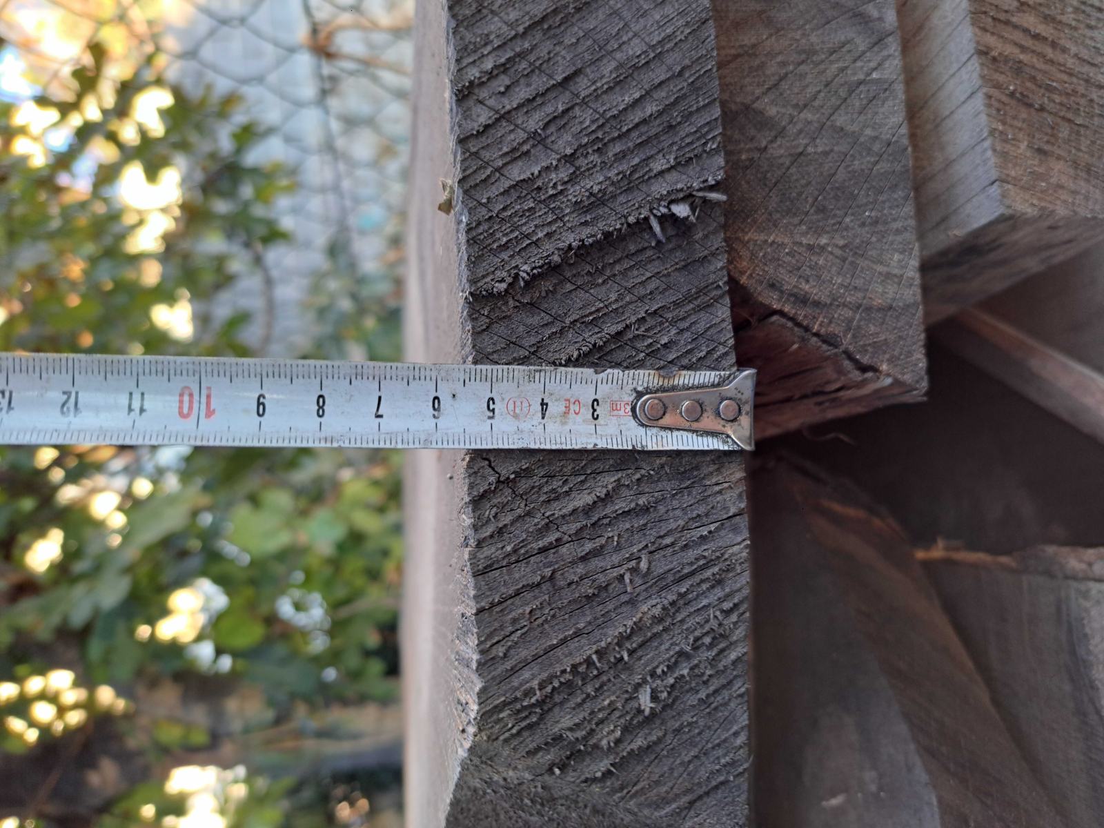 10g staro drvo slavonskog hrasta