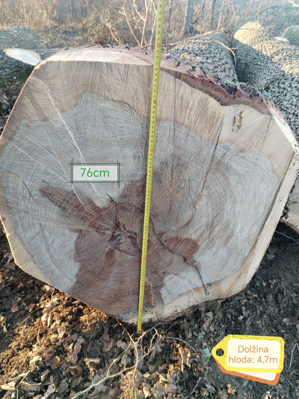 Hrast Graden stolarija