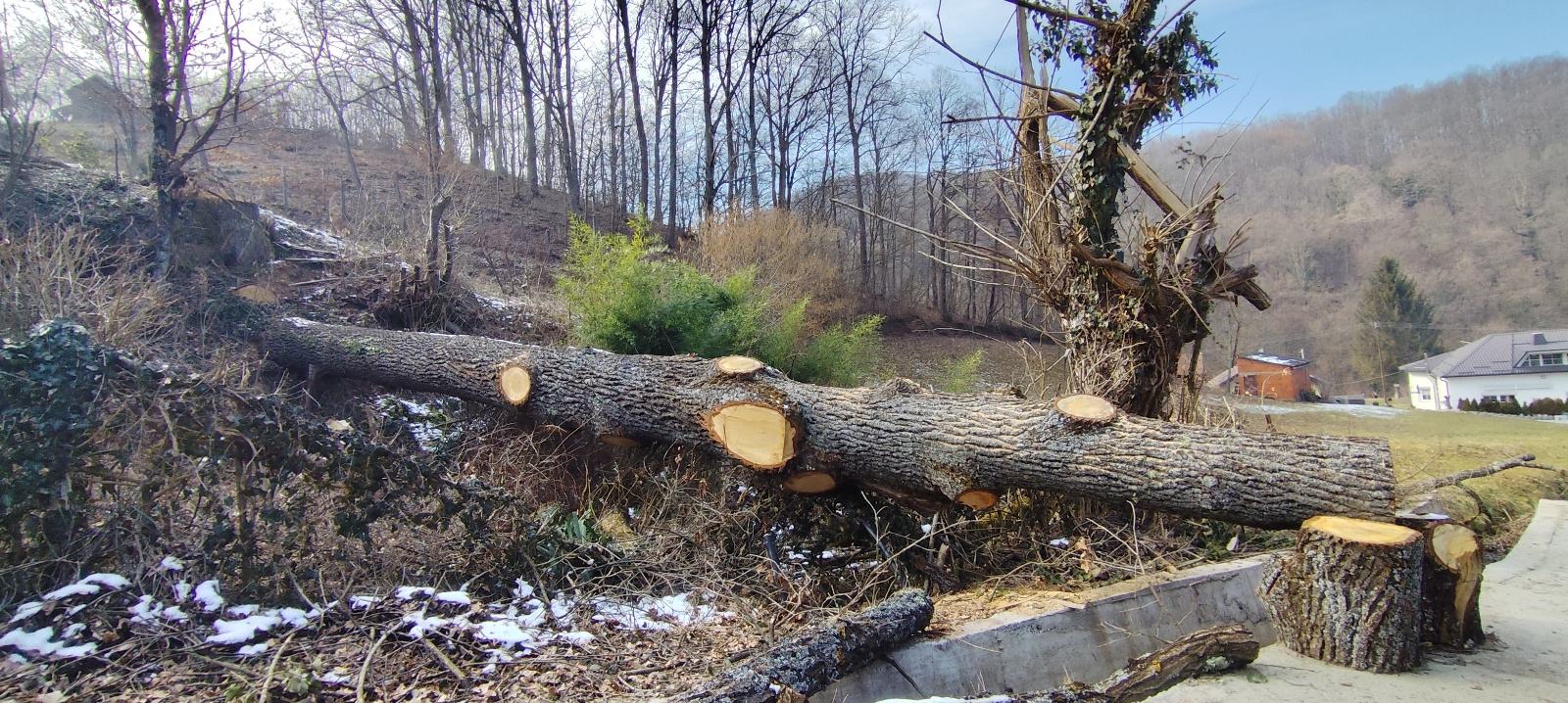 Prodajem hrastov trupac