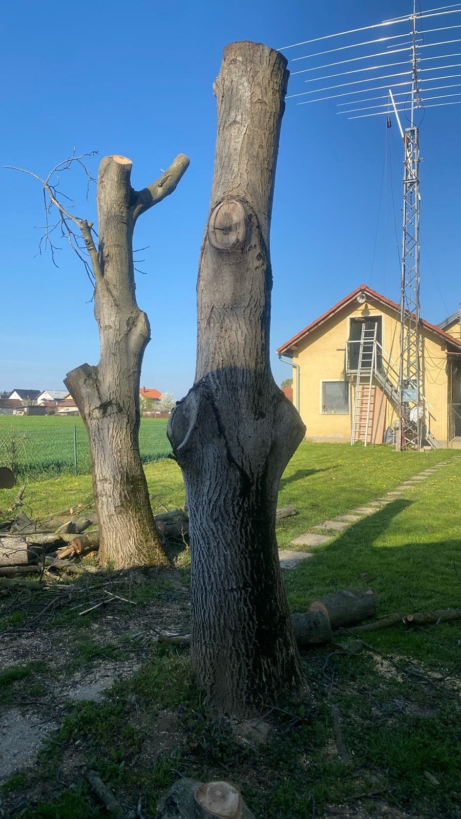 Trupac oraha