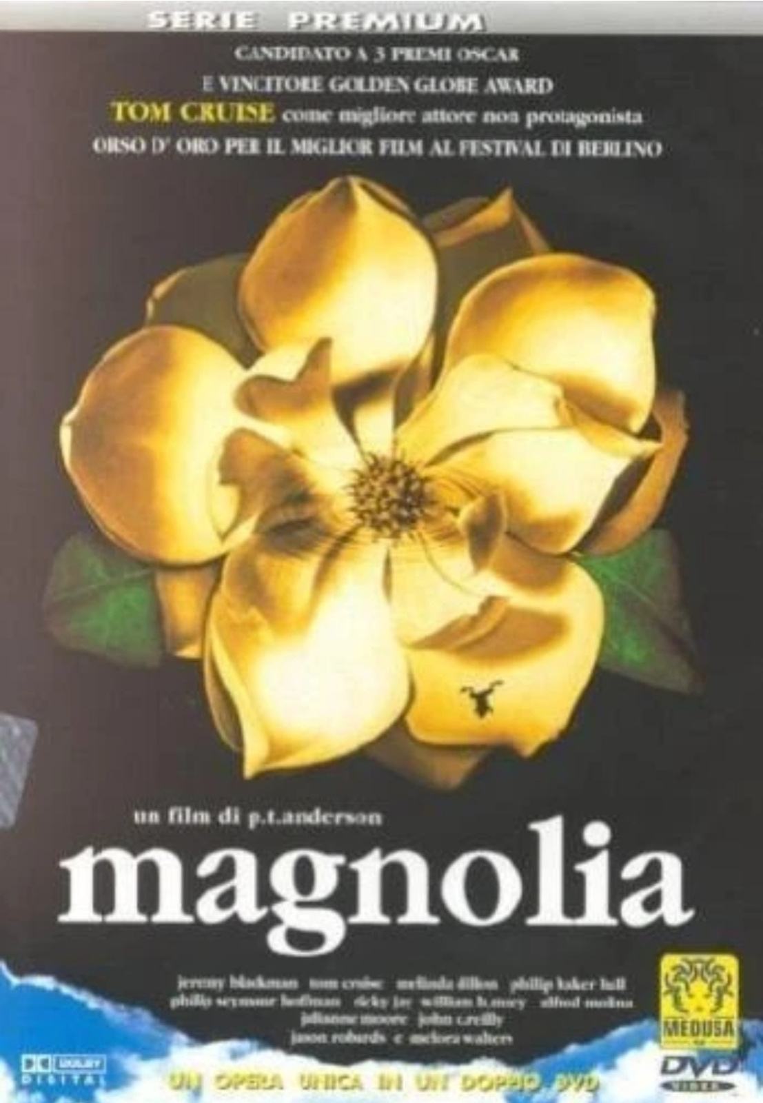 Magnolia DVD