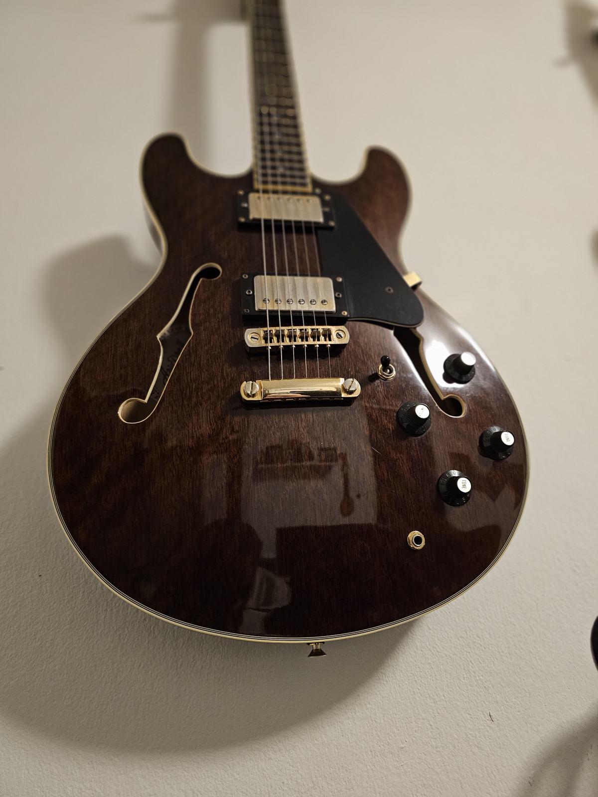 Aria Pro II (335-ica) semi-hollow električna gitara