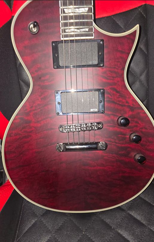 ESP LTD EC-401