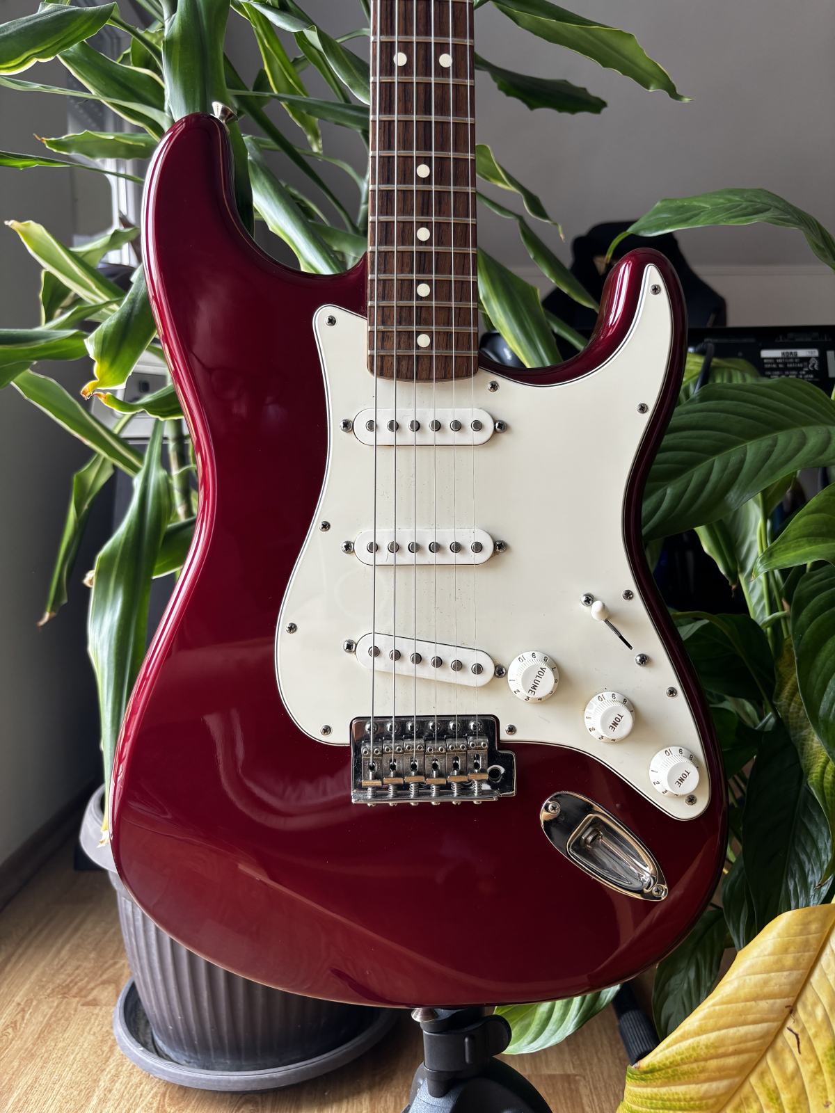 Fender Standard Stratocaster 2010 - Wine Red + Fender torba i remen