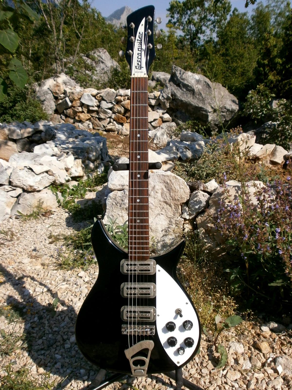 Greco Rickenbacker RG-750 1981 Fujigen Japan MIJ JV