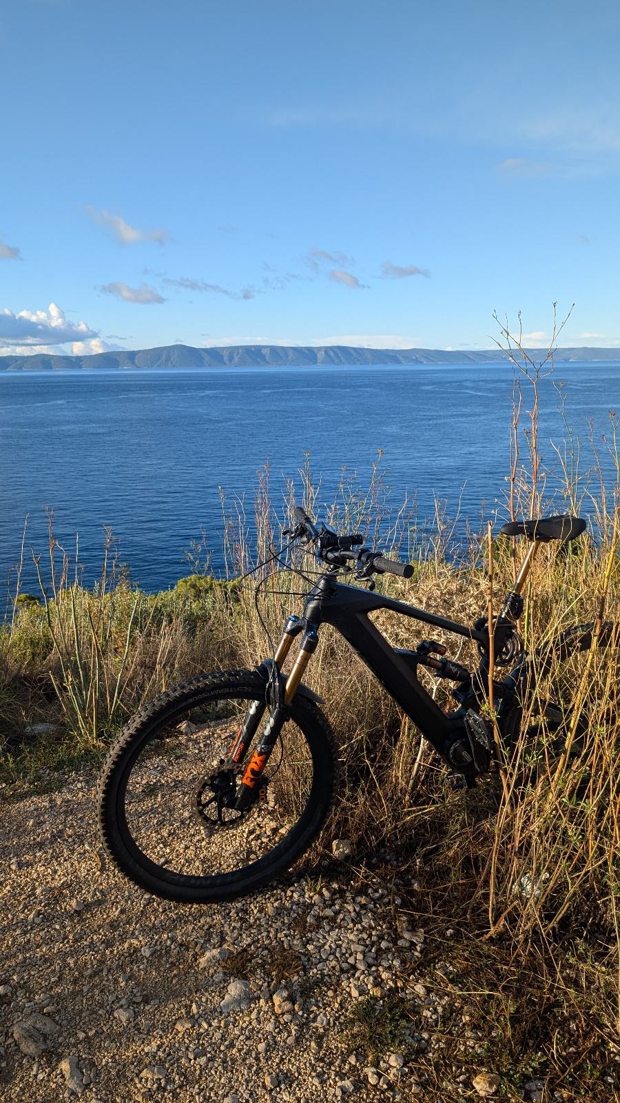 High-end XL Ebike MTB fully Carbon 1000W 45km/h