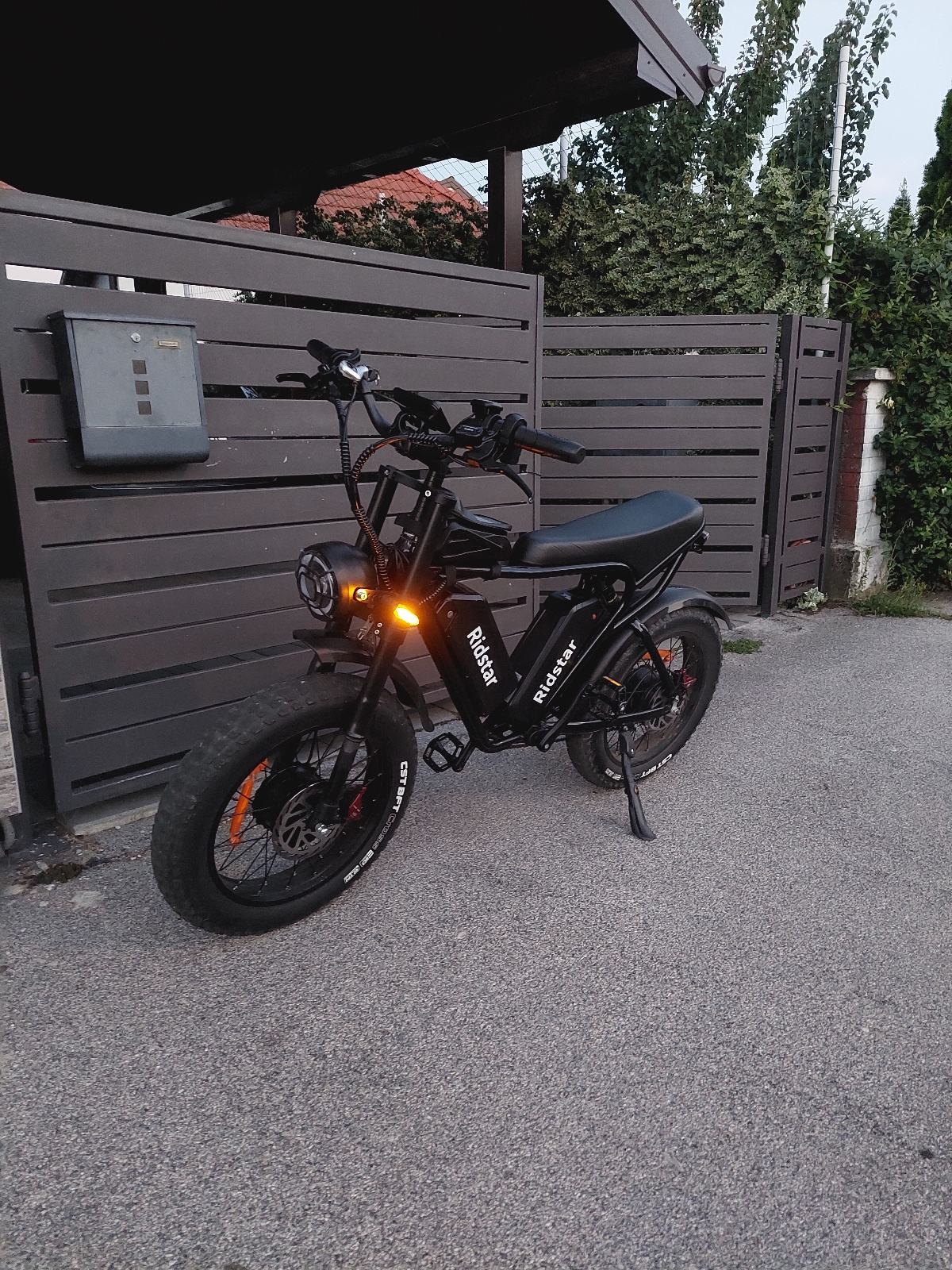 Ridstar Q20 pro e bike