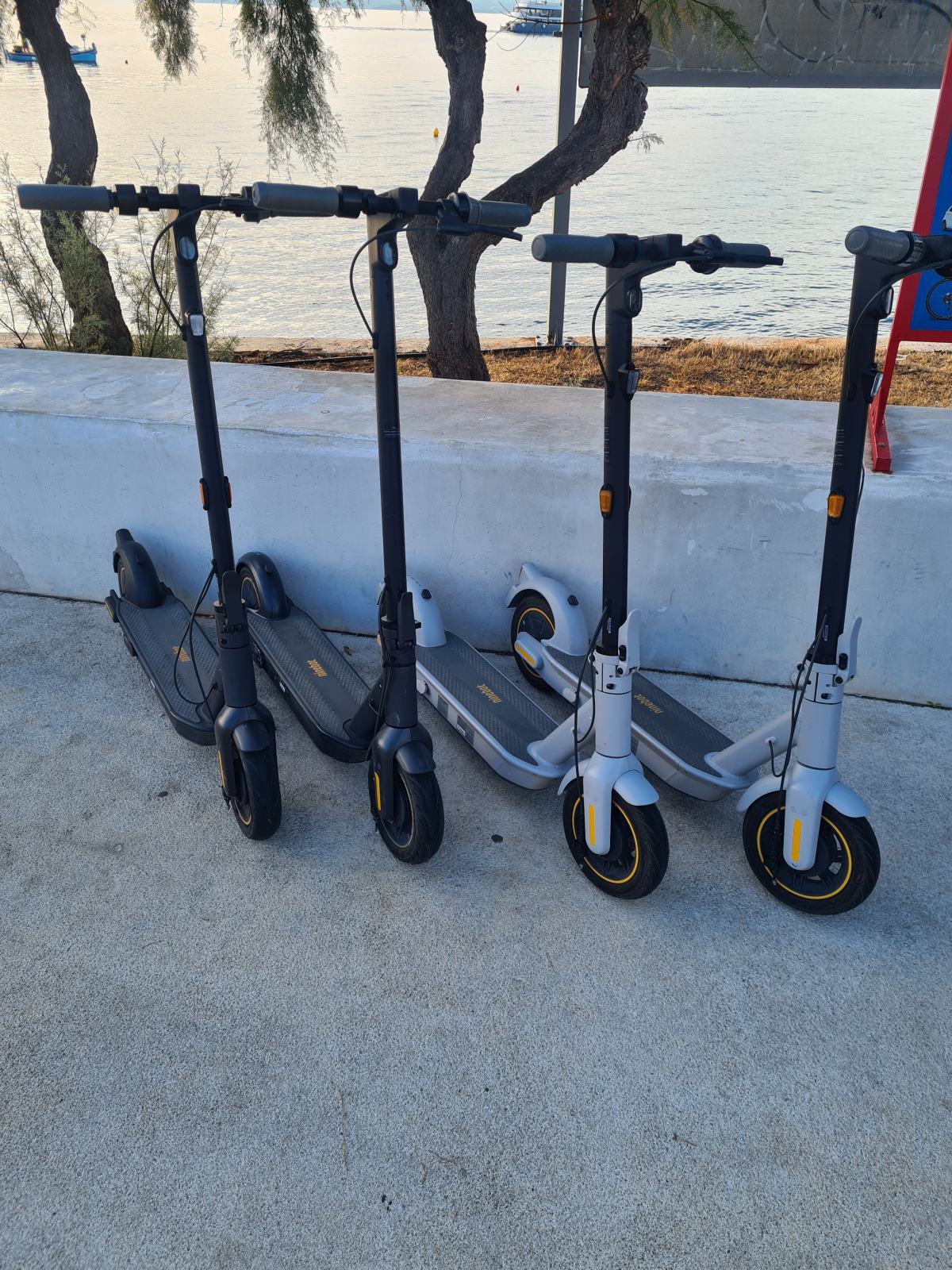 Segway ninebot g30 max....