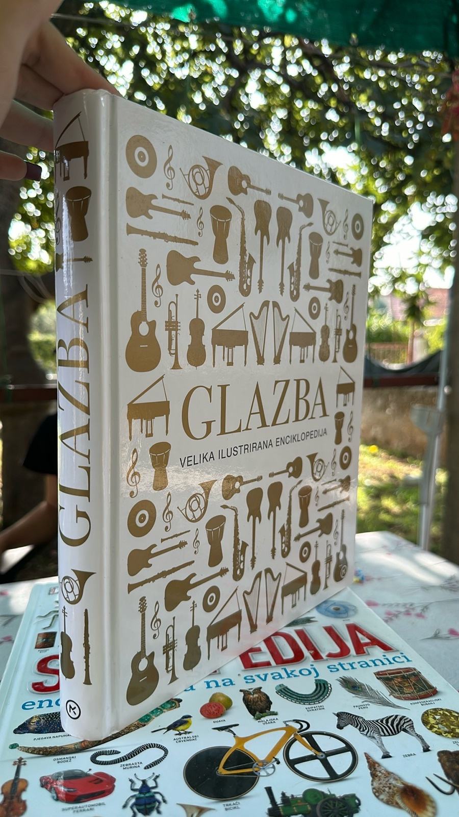 enciklopedija glazba