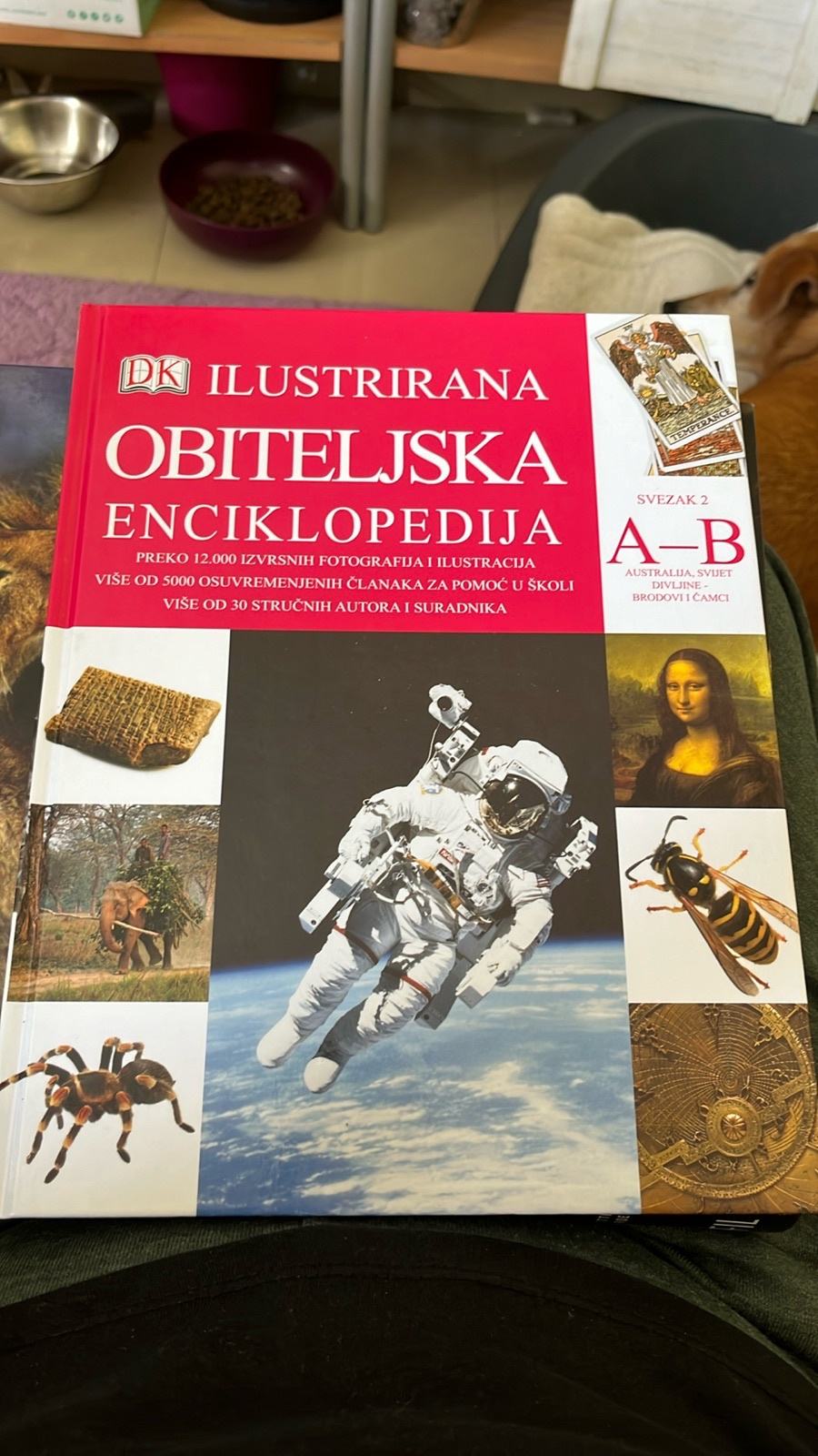 Ilustrirana Obiteljska enciklopedija