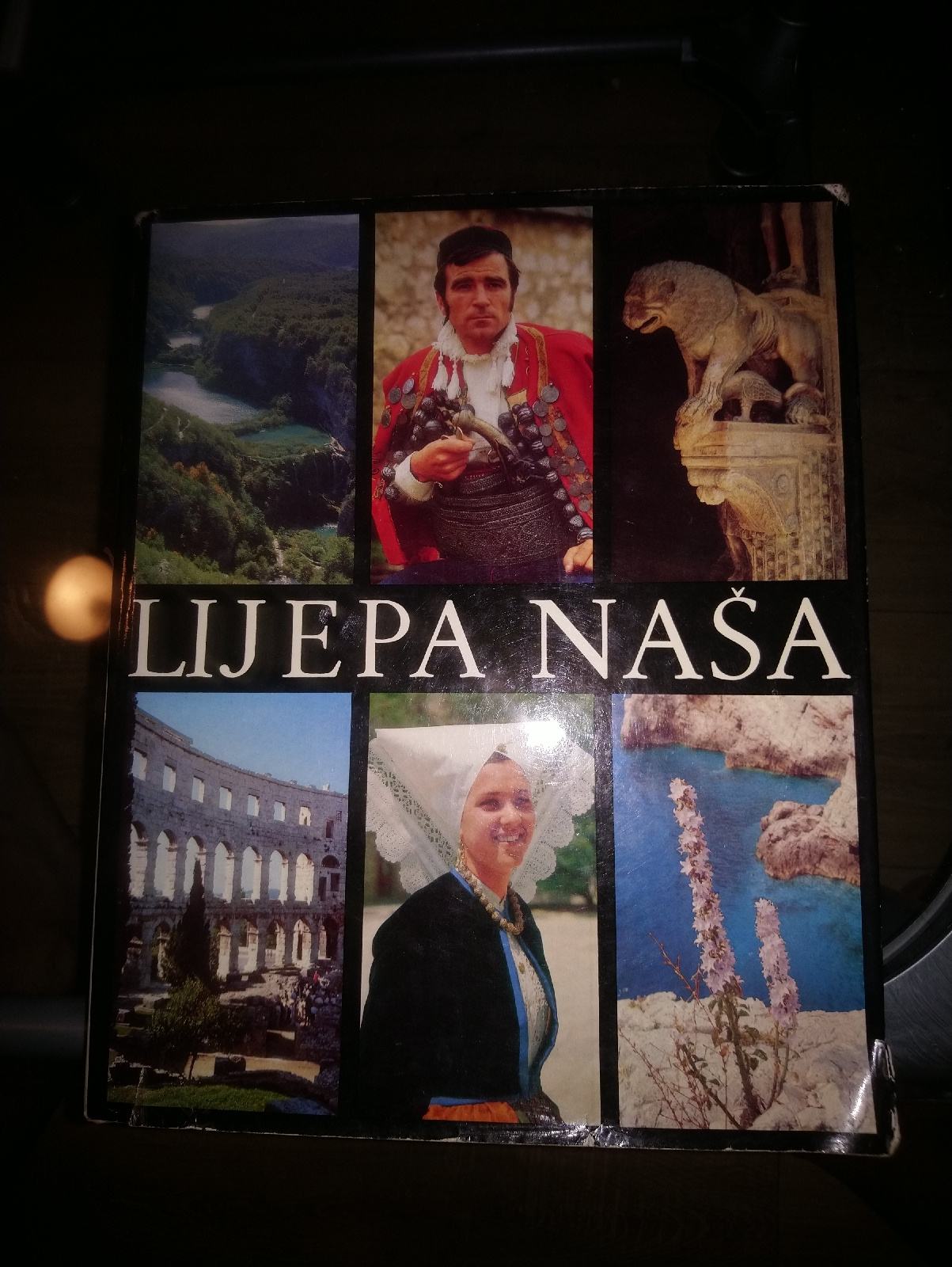 knjiga Lijepa Naša