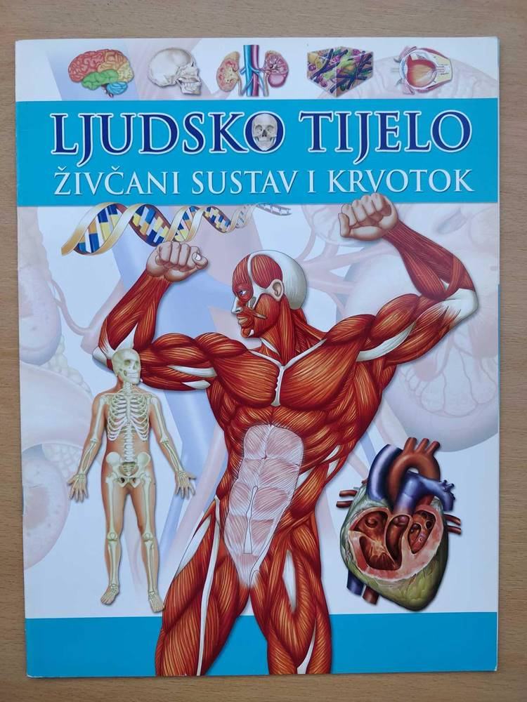 Ljudsko tijelo 1 – Živčani sustav i krvotok