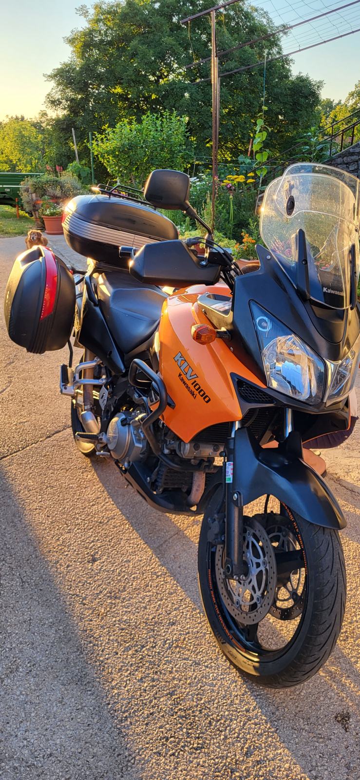 Kawasaki KLV 1000, 2004 god.