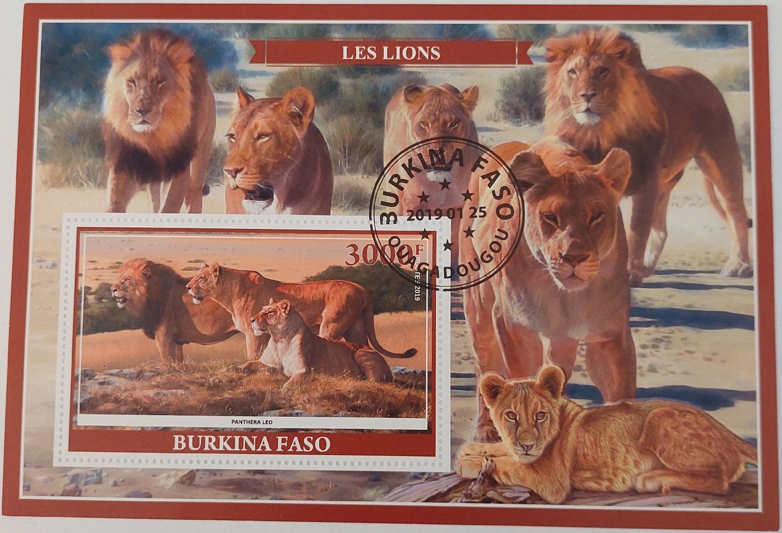 Blok Burkina faso fauna
