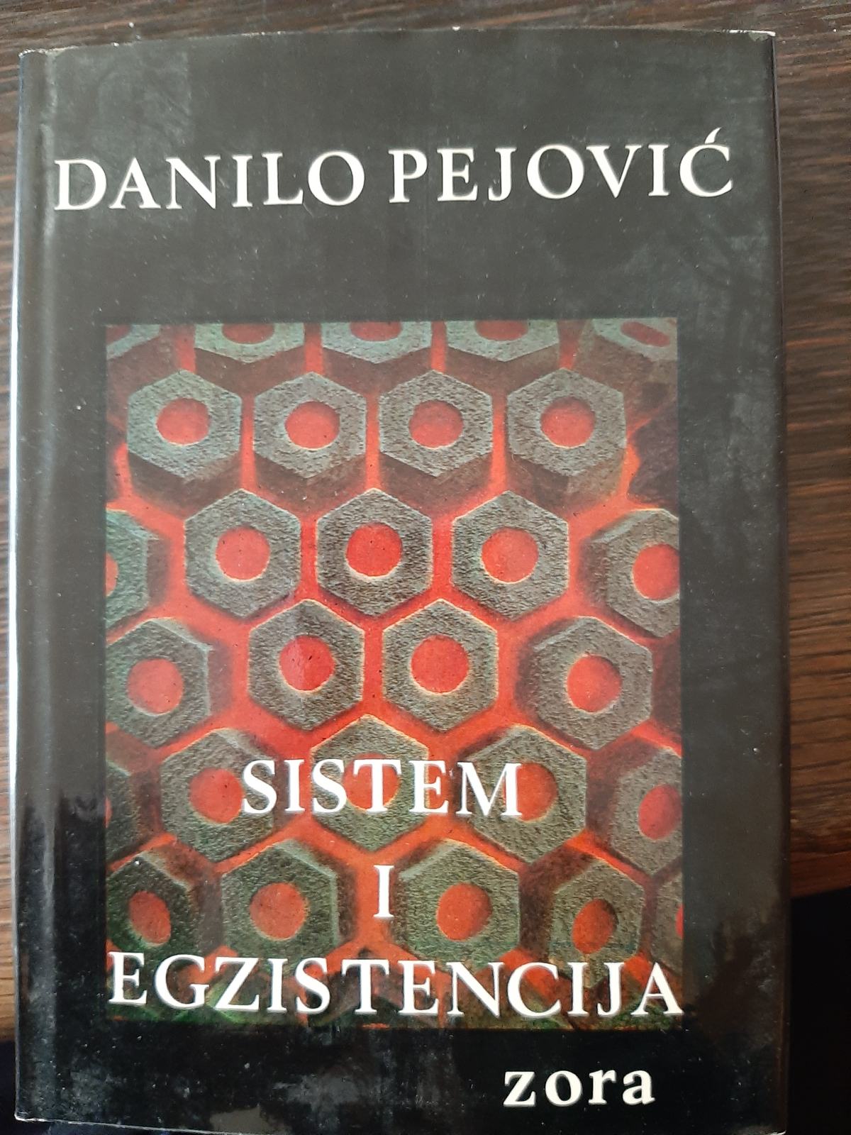 Danilo Pejović: Sistem i egzistencija