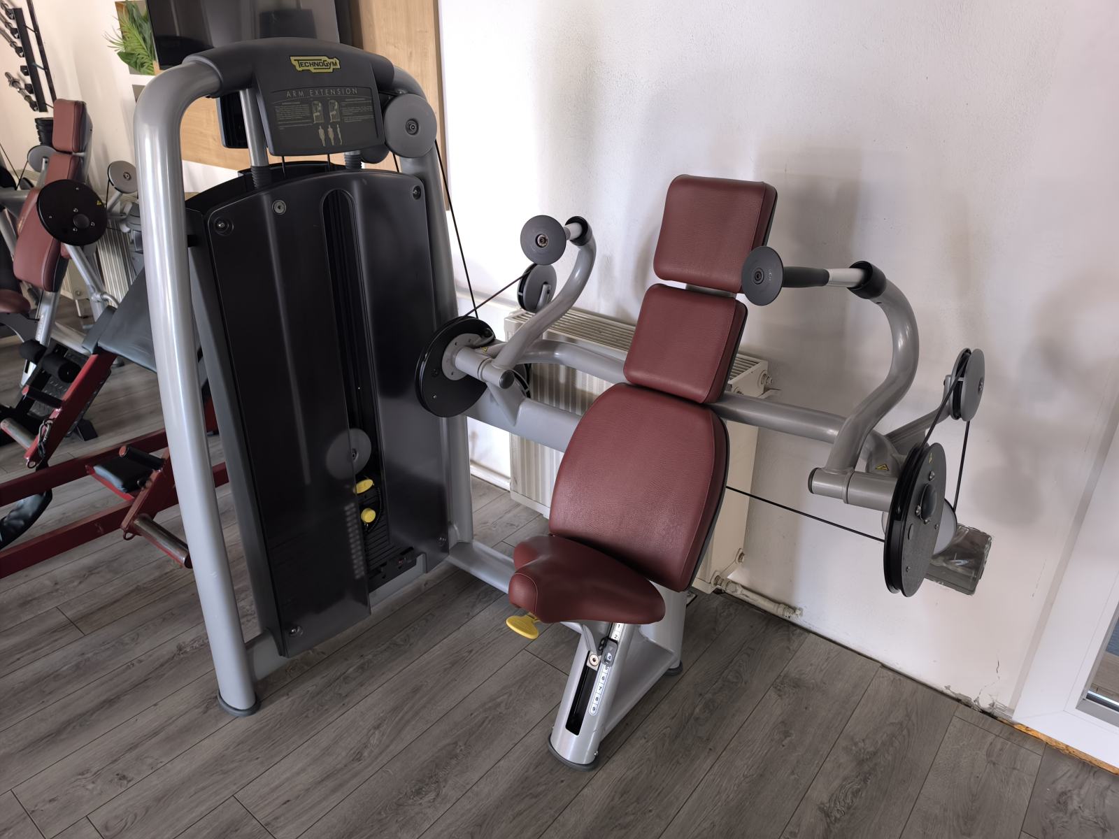 Biceps i triceps mašine TECHNOGYM SELECTION